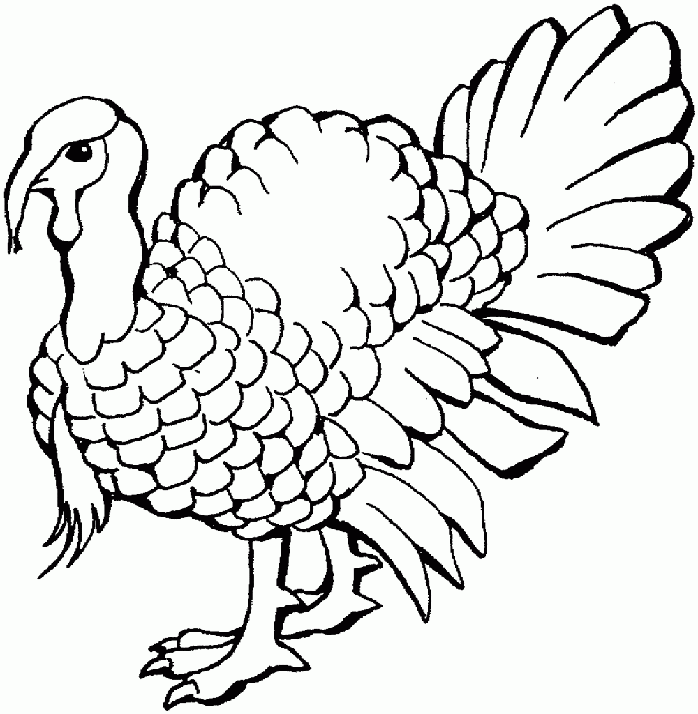 Fișe de colorat pentru copii - FiseDeColorat.ro