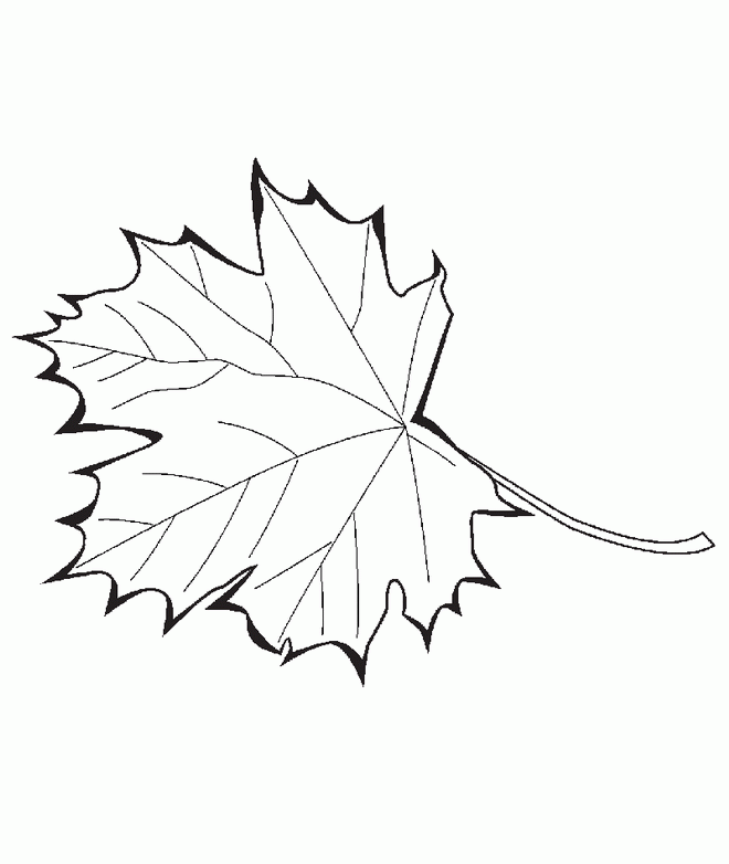 Fișe de colorat pentru copii - FiseDeColorat.ro
