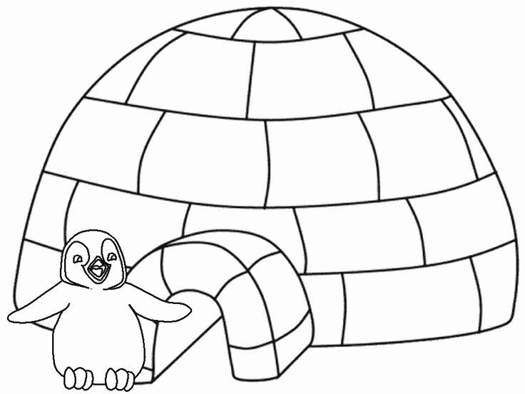 Planșe de colorat cu Pinguin - FiseDeColorat.ro - Fișe de colorat ...