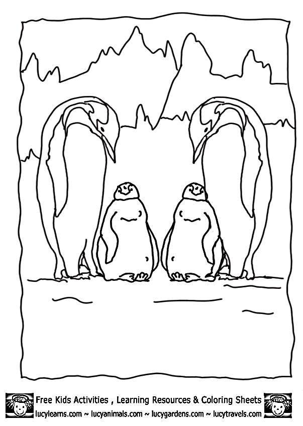 Planșe de colorat cu Pinguin - FiseDeColorat.ro - Fișe de colorat ...